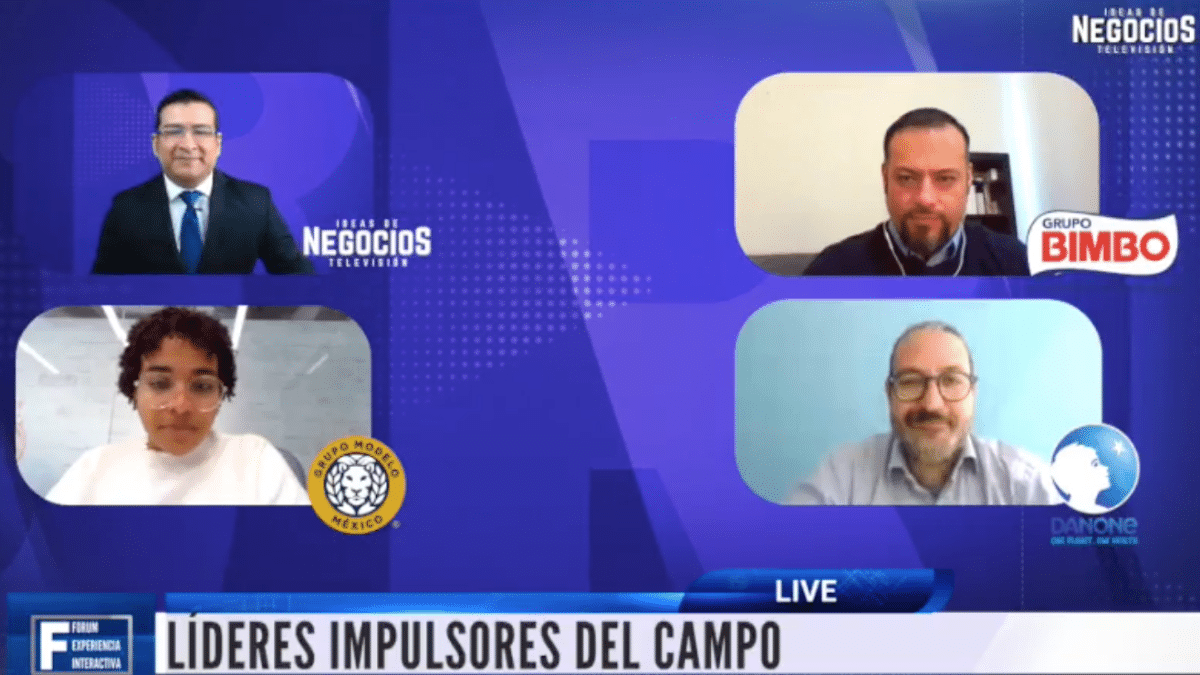 ¿Cómo rescatar al campo mexicano? Bimbo, Danone y Grupo Modelo apuestan ...